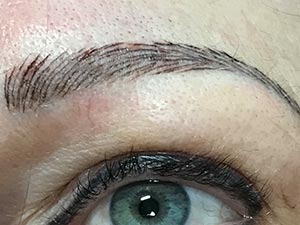 2019-north-dallas-permanent-eyebrows-tn - North Dallas Permanent Cosmetics